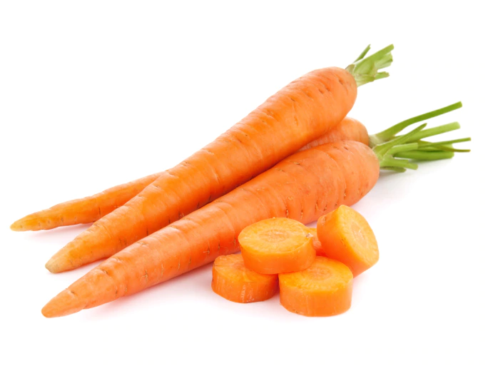 Carrot | All Species Wiki | Fandom