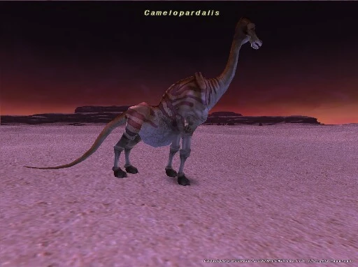 Dromedary/Gallery | All Species Wiki | Fandom