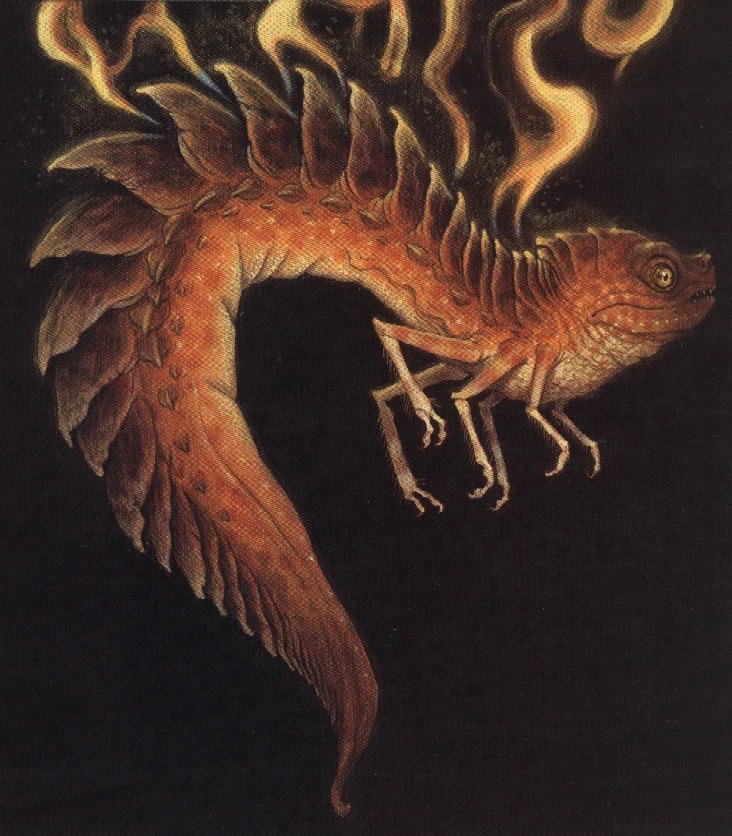 Fire Salamander (Spiderwick Chronicles) | All Species Wiki | Fandom
