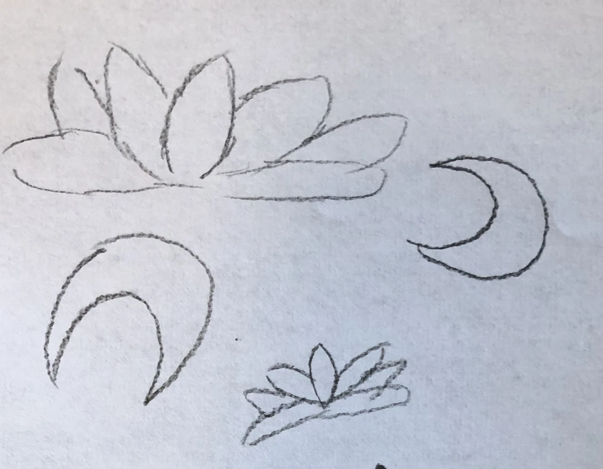 Salt lilies (After Man fanon) | All Species Wiki | Fandom