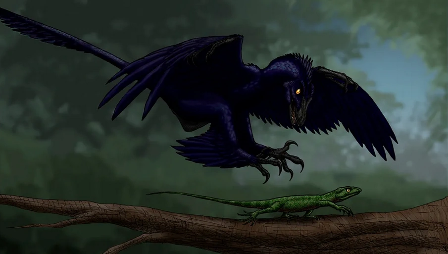 Microraptor | All Species Wiki | Fandom