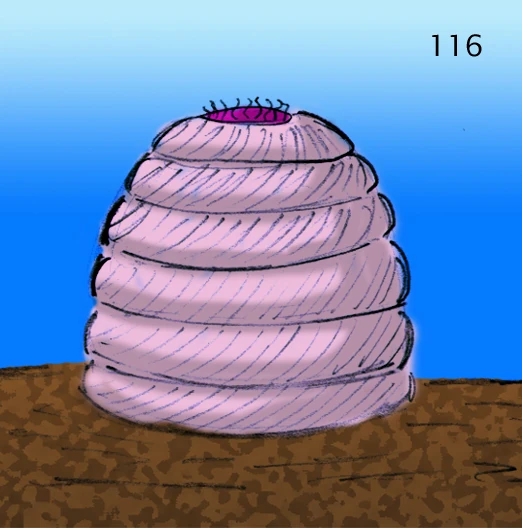 Shockshell | All Species Wiki | Fandom