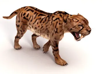 Eusmilus | All Species Wiki | Fandom