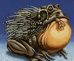 Chub Toad | All Species Wiki | Fandom