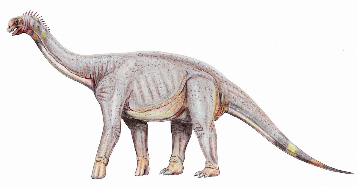 Astrodon All Species Wiki Fandom