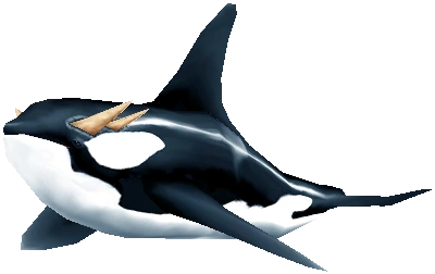 Orca (Warcraft) | All Species Wiki | Fandom
