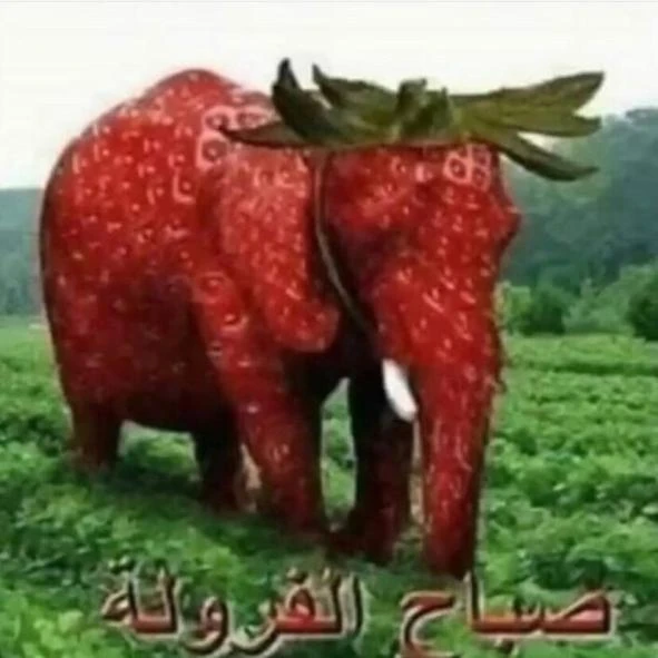 Strawberry elephant | All Species Wiki | Fandom