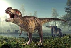 Tyrannosaurus | All Species Wiki | Fandom