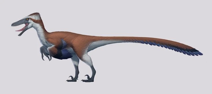 Austroraptor | All Species Wiki | Fandom