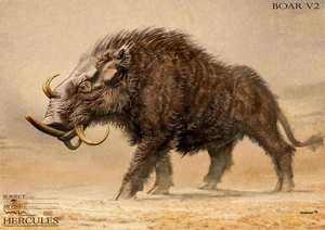 Erymanthian boar | All Species Wiki | Fandom