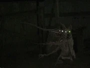 Unnatural Habitat visitors | All Species Wiki | Fandom