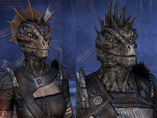 Argonian | All Species Wiki | Fandom