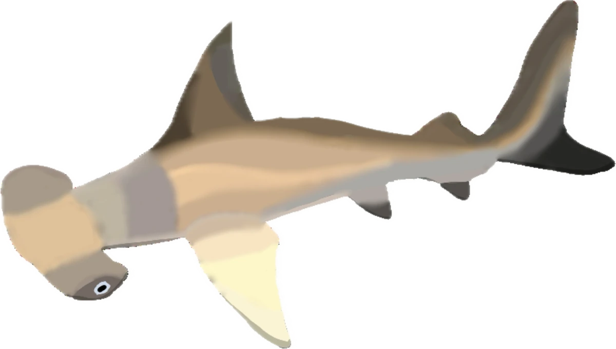 Sand Hammerhead | All Species Wiki | Fandom