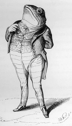 Humanoid Frog | All Species Wiki | Fandom