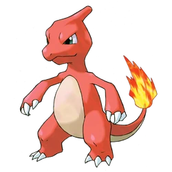 Charizard | All Species Wiki | Fandom
