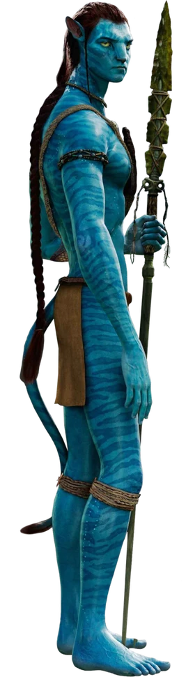 Jake Sully | All-Star WarZone Wiki | Fandom