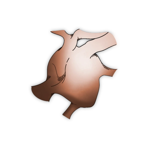 Corpse Heart | Roblox: All Star Tower Defense Wiki | Fandom