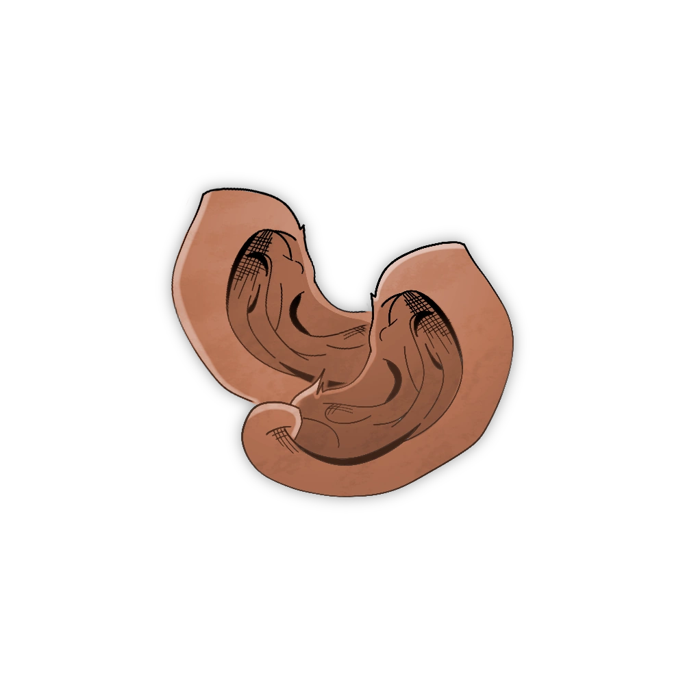 Corpse Ear | Roblox: All Star Tower Defense Wiki | Fandom