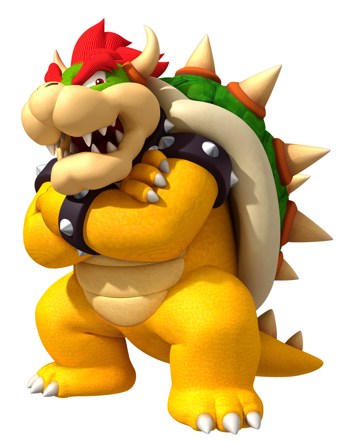 Bowser Koopa | All the Koopas Wiki | Fandom