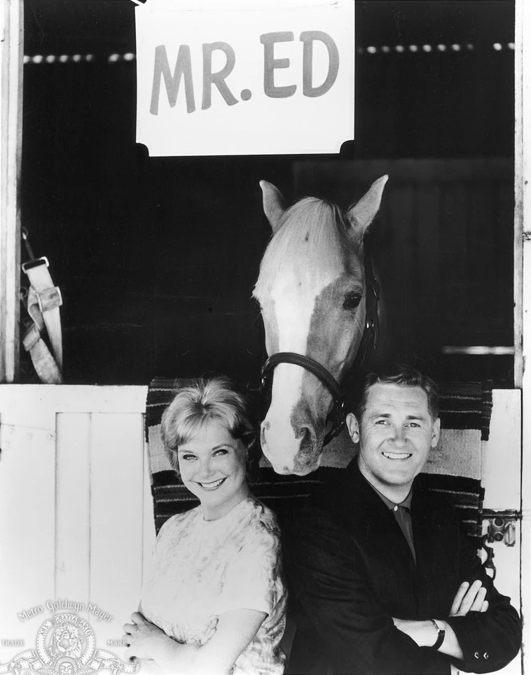 Mister Ed | Tropedia | Fandom