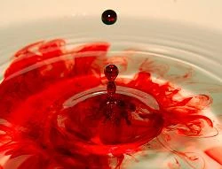 Blood Is Squicker in Water | Tropedia | Fandom