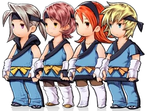 Final Fantasy III/Characters | Tropedia | Fandom