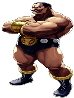 Street Fighter EX/Characters | Tropedia | Fandom