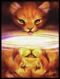 Warrior Cats the Original Series | Tropedia | Fandom