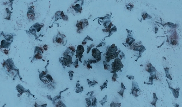 Snow Means Death | Tropedia | Fandom