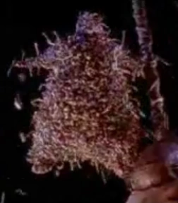 The Nightmare Before Christmas/Nightmare Fuel | Tropedia | Fandom