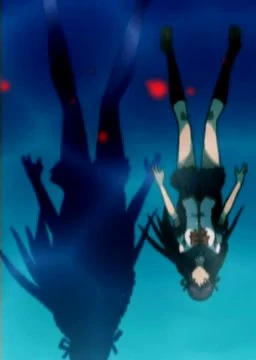 Inverted Portrait | Tropedia | Fandom