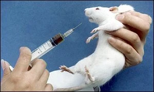 Animal Testing | Tropedia | Fandom