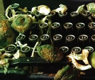 Ambergris | Tropedia | Fandom