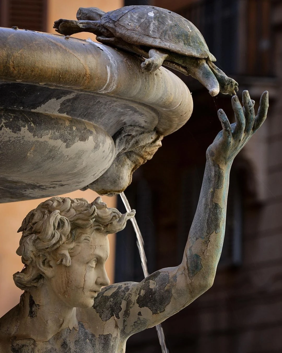 Fountain of the Turtles | Allthingsroma Wiki | Fandom