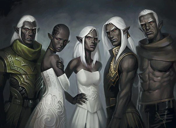 Drow | Allusia Campaign Wiki | Fandom