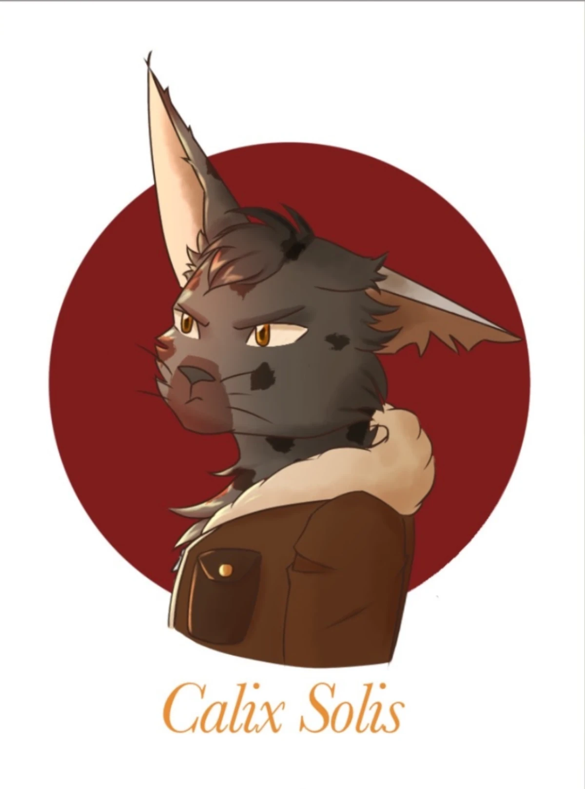 Calix Solis | Almoons Wiki | Fandom