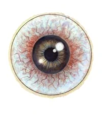 Hag Eye | Arcane Sanctum Wikia | Fandom