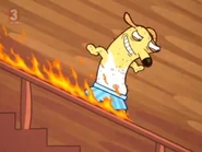 Howie | Almost Naked Animalia | Fandom