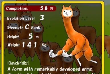 Alpaca Evolution