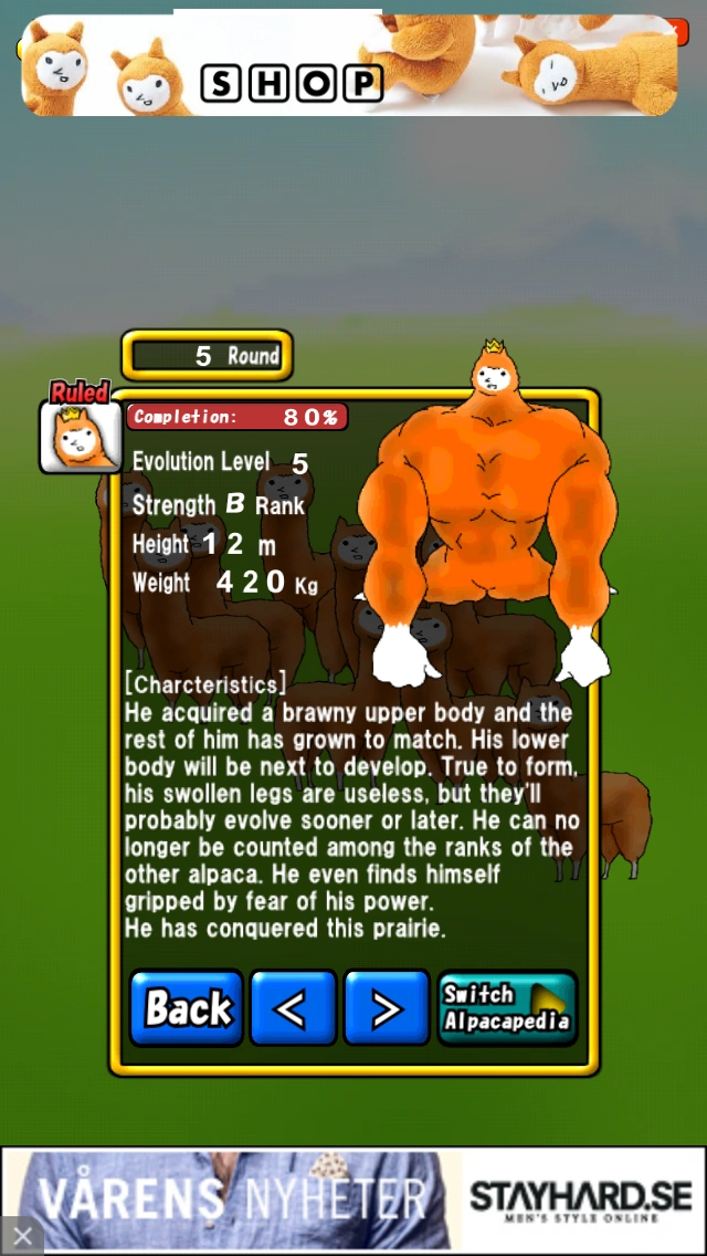 Rule level 5 | Alpaca Evolution Wiki | Fandom