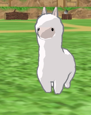 Baby Alpaca | Alpaca World Wiki | Fandom