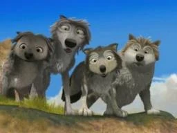 Omega Wolves | Alpha and Omega Fanon Wiki | Fandom