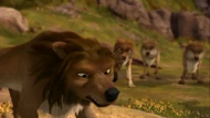 Tony/Gallery | Alpha and Omega Wiki | Fandom