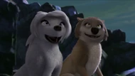 Eve/Gallery | Alpha and Omega Wiki | Fandom