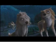 Sweets and Candy/Gallery | Alpha and Omega Wiki | Fandom