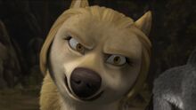 Eve | Alpha and Omega Wiki | Fandom