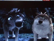 Mooch (Gallery) | Alpha and Omega Wiki | Fandom