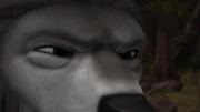 Winston | Alpha and Omega Wiki | Fandom