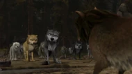 Eve/Gallery | Alpha and Omega Wiki | Fandom