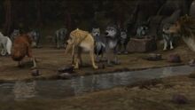 Eve | Alpha and Omega Wiki | Fandom